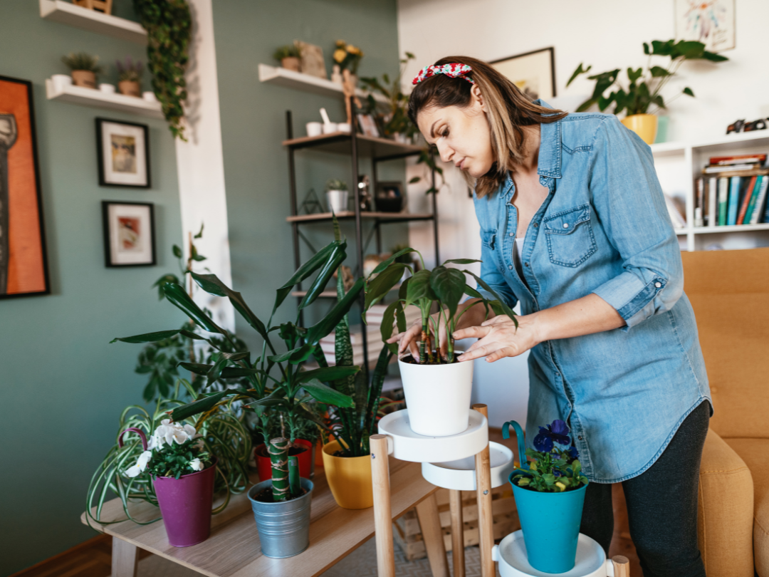I am Green in every way - what colour are you? – Organic Formulations UK